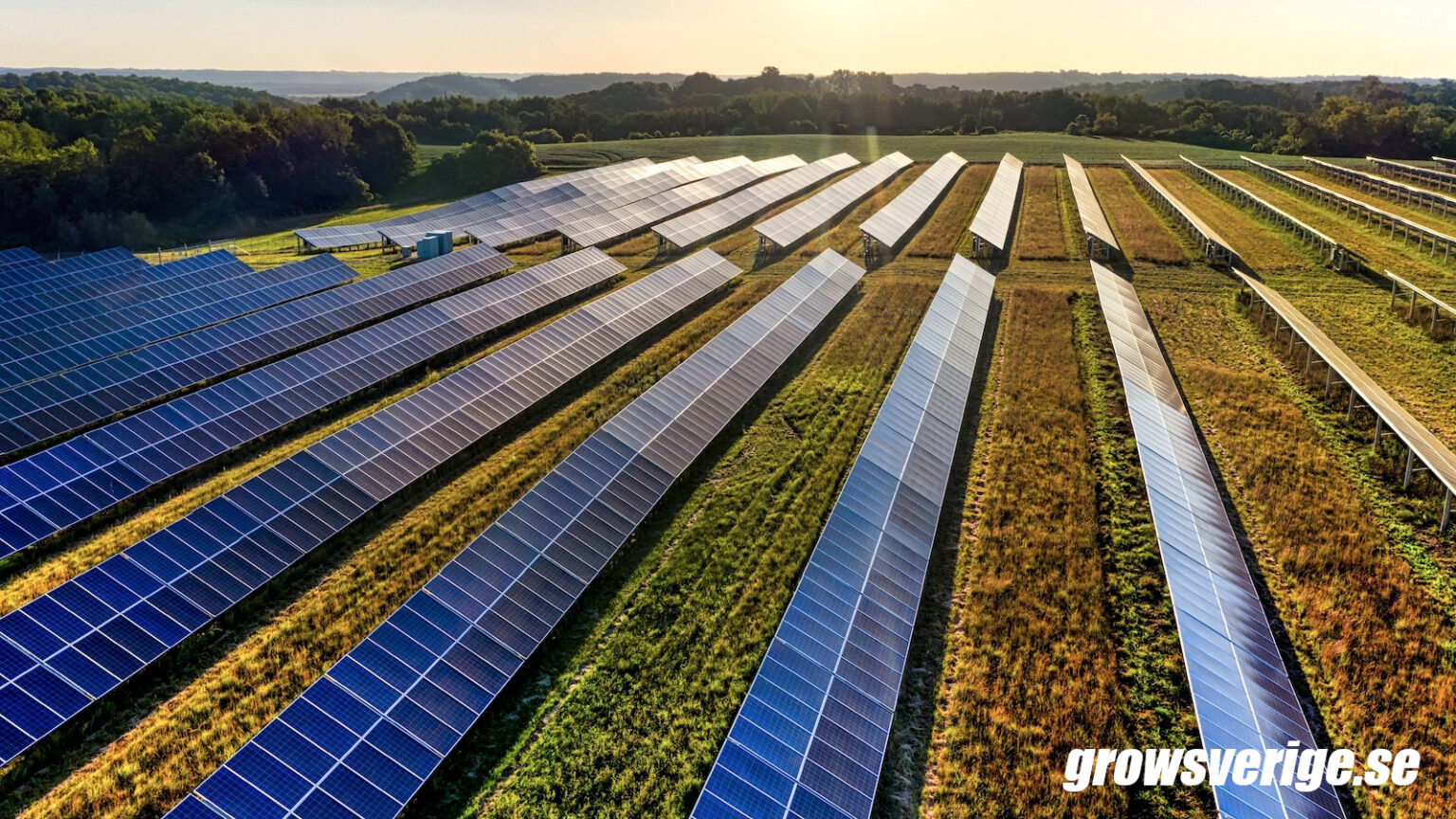 Fler och större solparker i Sverige - Grow Sverige