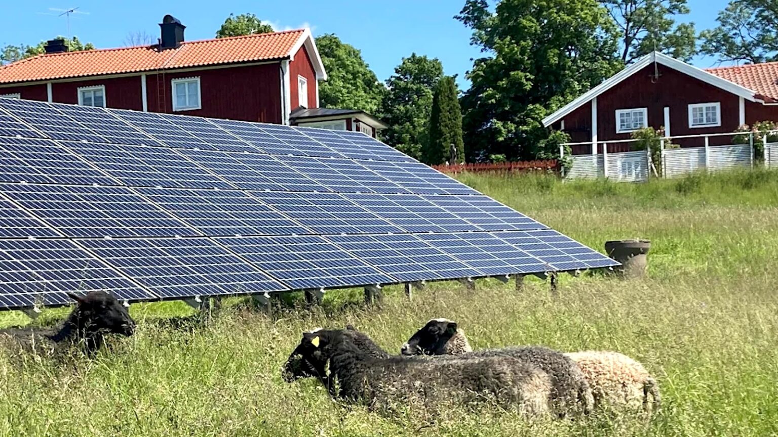 Sveriges elsystem stabilt med ökad vindkraft och solenergi – rapport - Grow Sverige